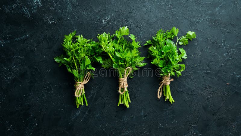 Green Parsley on a Black Stone Background. Top View Stock Image - Image ...