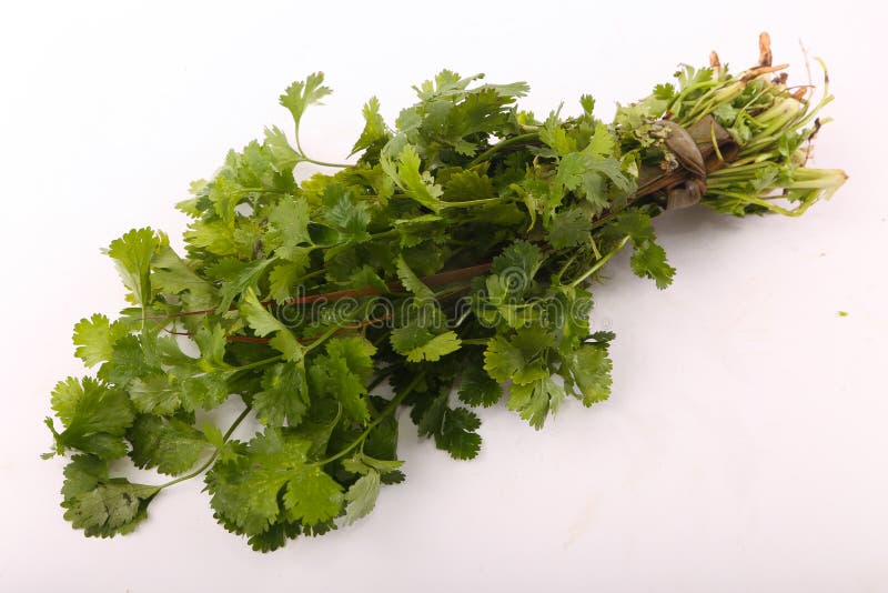 Green Parsley Pack stock photo. Image of dieting, foliage - 111198398