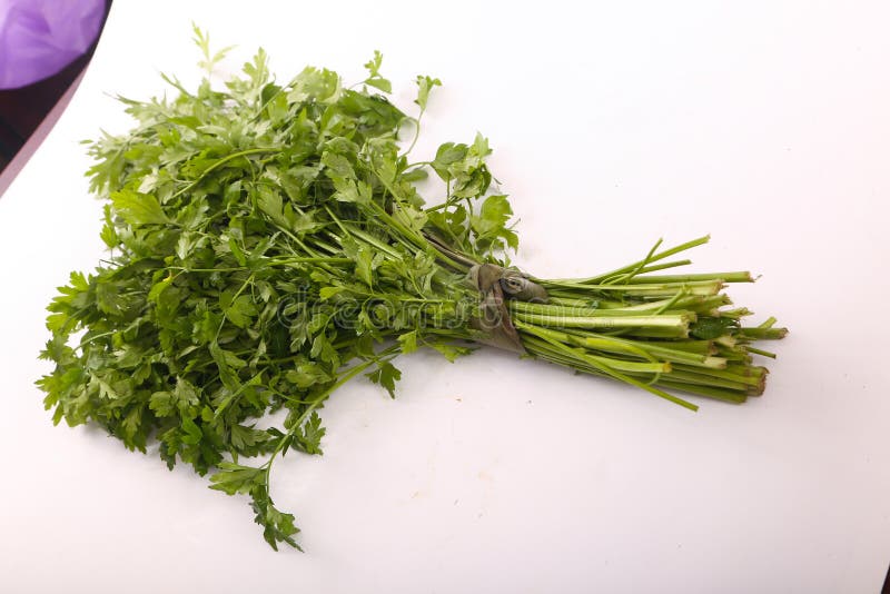 Green Parsley Pack stock image. Image of culinary, cook - 111198505