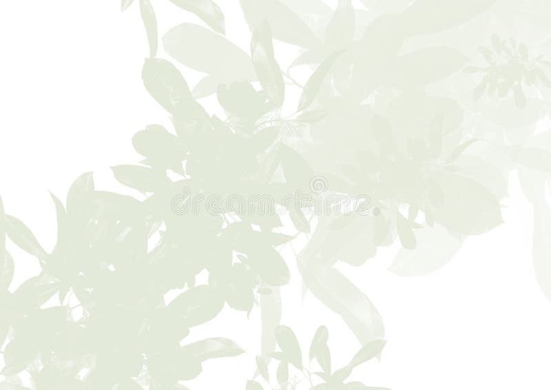 Green Pastel Botanical Leaves Background Stock Illustration ...