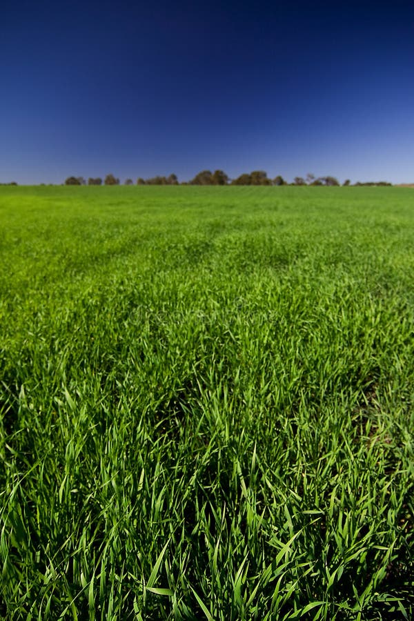 601,363 Green Pasture Stock Photos - Free & Royalty-Free Stock Photos ...