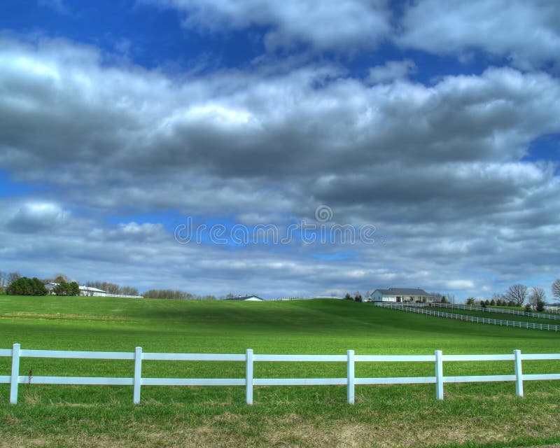 Green pasture stock image. Image of landscape, environment - 5993013