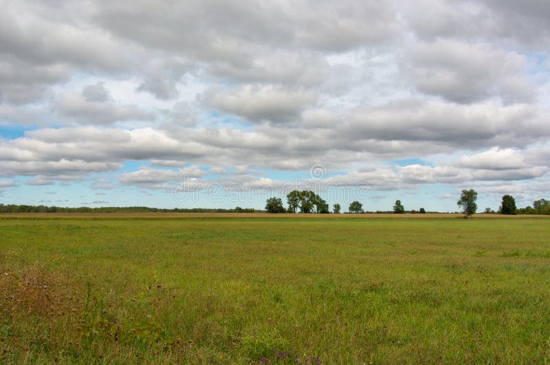 Green Pasture on a Cloudy Day Stock Photo - Image of scene, harvest ...