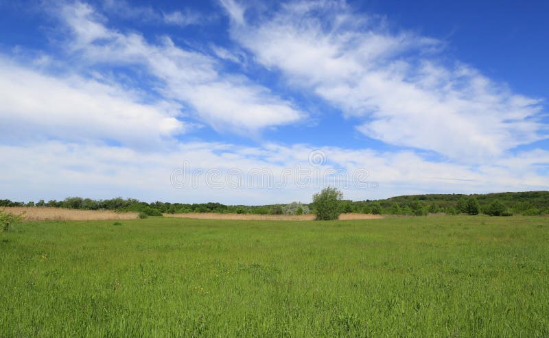 Green Pasture Under Nice Clouds in Blue Sky Stock Image - Image of ...