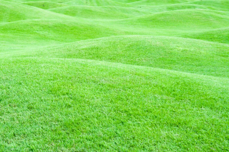 Green pastures 1 stock image. Image of playing, landscape - 1927339