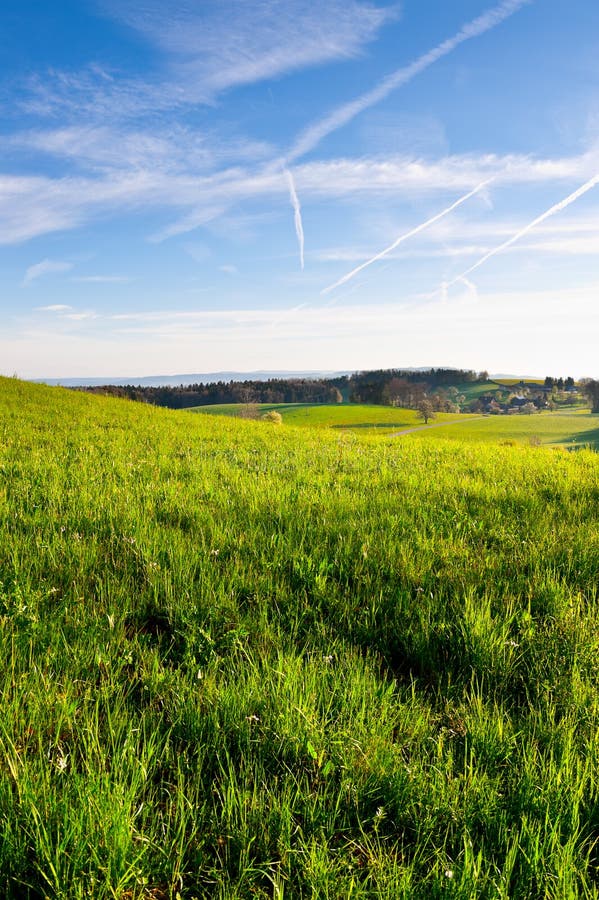 Green Pastures stock image. Image of foliage, alps, agriculture - 25173109
