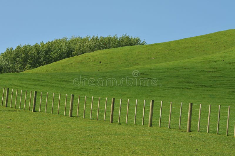 Green pastures stock photo. Image of hill, pasture, hillock - 37555376