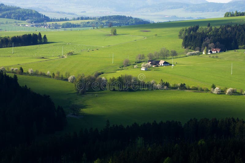 Green pastures stock photo. Image of pastoral, light - 79087638
