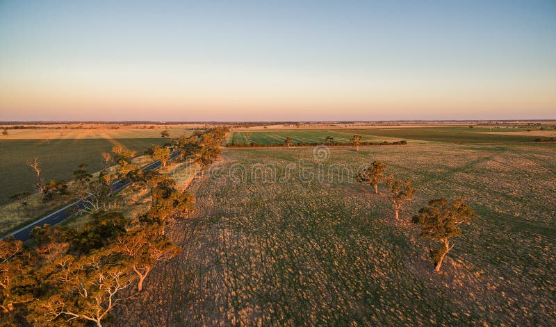 Green Pastures with Scattered Trees at Sunset - Low Aerial View Stock ...