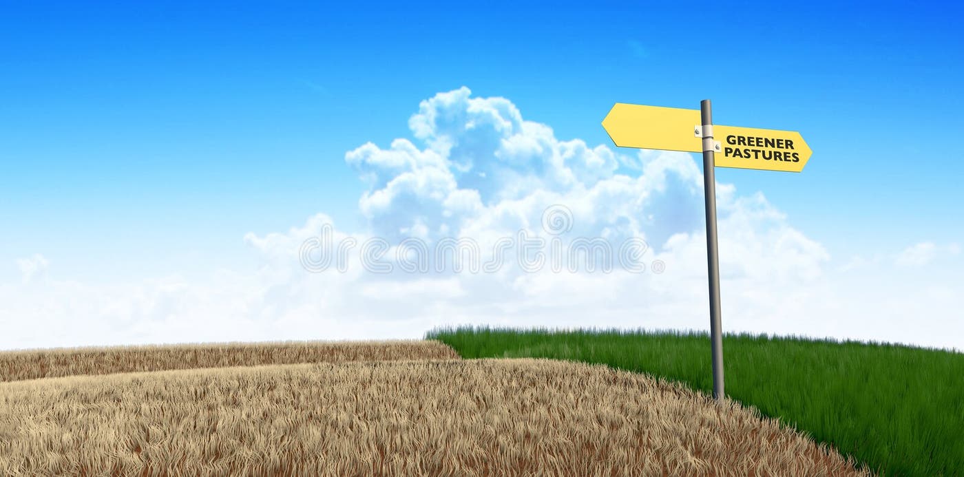 44,611 Skyedge Pastures Stock Photos - Free & Royalty-Free Stock Photos ...