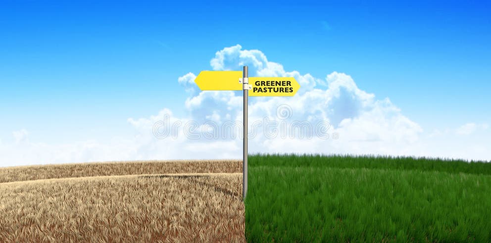 44,611 Skyedge Pastures Stock Photos - Free & Royalty-Free Stock Photos ...