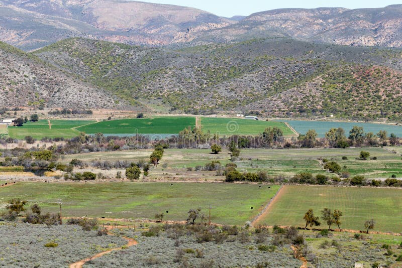 Green Patches of Land in Middle Plaas To De Rust Stock Photo - Image of ...