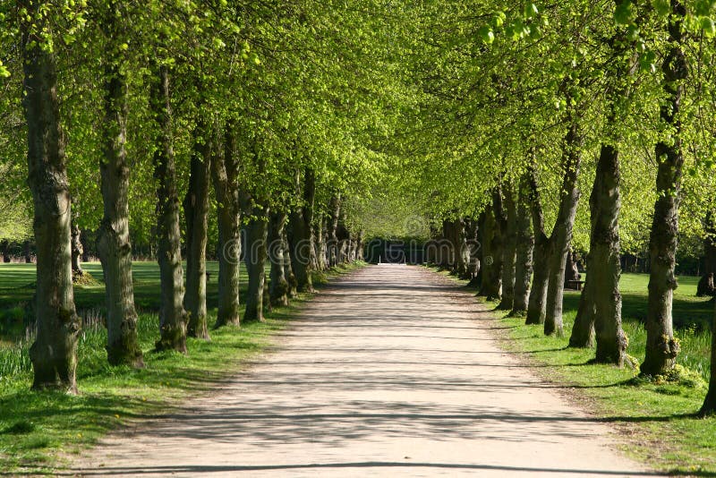 Green path stock photo. Image of path, postcard, walking - 5008384