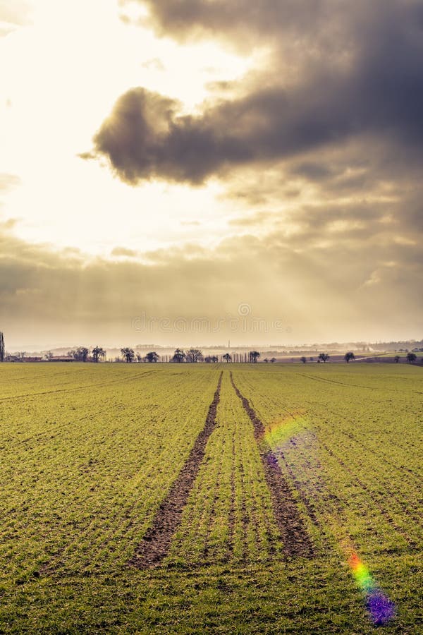The Green Path Across the Field. Stock Photo - Image of forest, away ...
