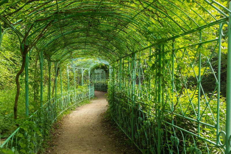 Green Path in Beautiful Garden Angle Shot Stock Photo - Image of plant ...
