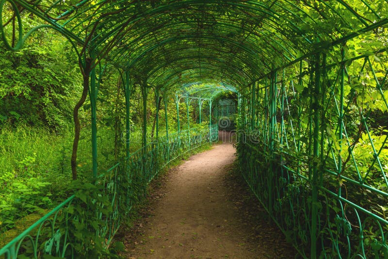 Green Path in Beautiful Garden Angle Shot Stock Image - Image of ...