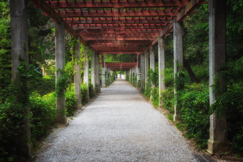 Green Path in Beautiful Garden Angle Shot Stock Photo - Image of ...