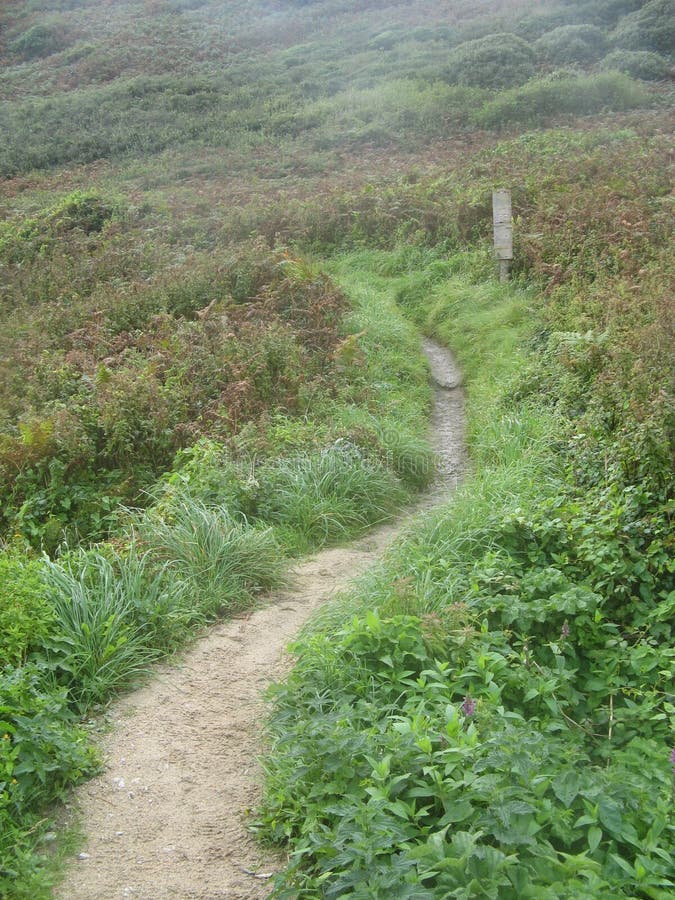 Green Path, the Lizard, Cornwall UK Stock Image - Image of lizard ...