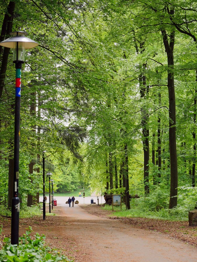 Green, Path, Road, Nature Picture. Image: 102644775