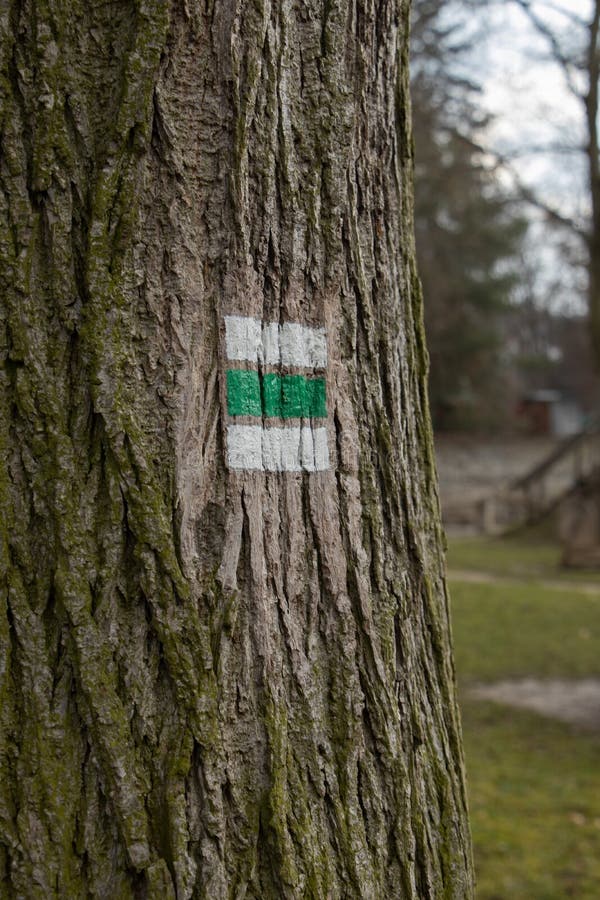 Green Path Sign on a Tree Trunk Stock Photo - Image of sign, symbol ...