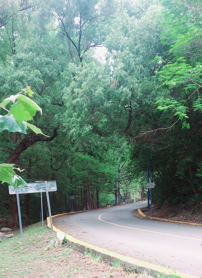 Los Troncones Stock Photos - Free & Royalty-Free Stock Photos from ...