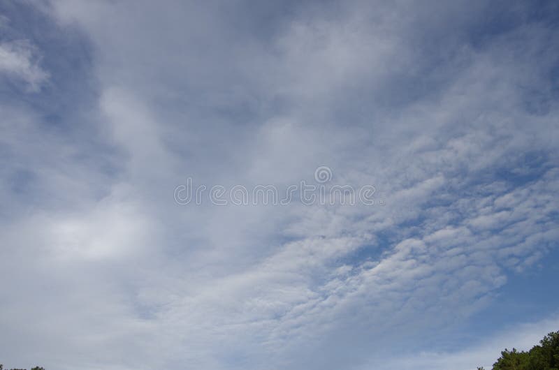 Green Path and Trees. Under the Daylight of a New Day Full of Energy ...