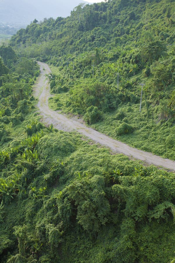 Green pathway stock photo. Image of pathway, environ - 55002238