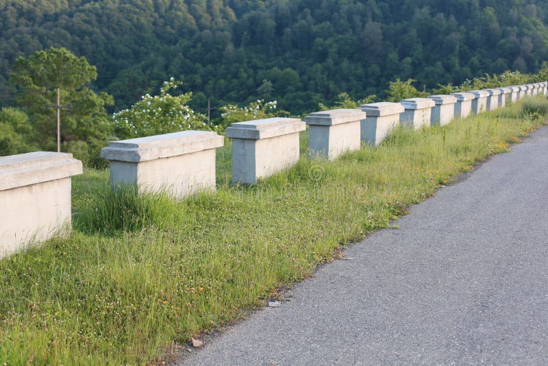 Green pathway stock image. Image of country, plant, leaf - 31722811