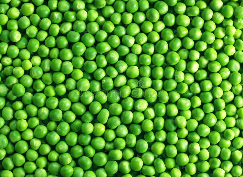 Pea grains stock image. Image of cooking, farming, produce - 93691447