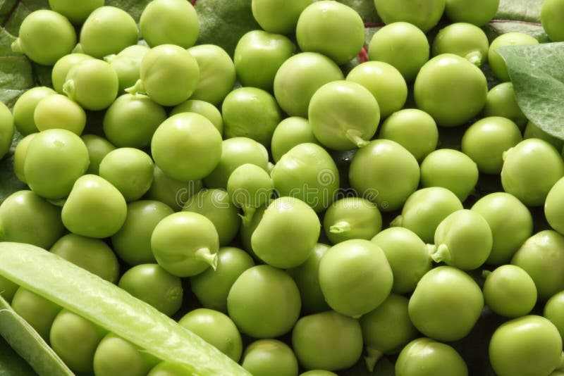 Green pea stock photo. Image of natural, preservation - 15537460