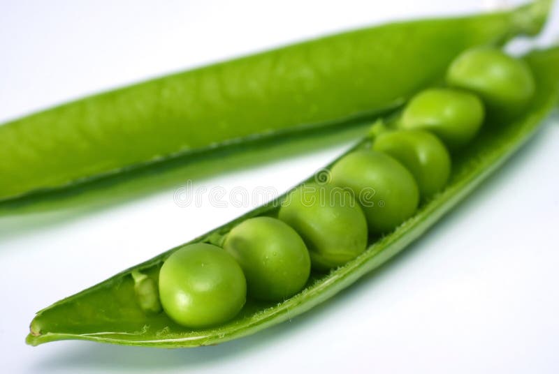 Green pea stock photo. Image of breed, background, skin - 16604450