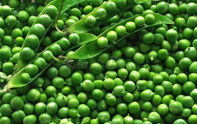 Pea grains stock image. Image of cooking, farming, produce - 93691447