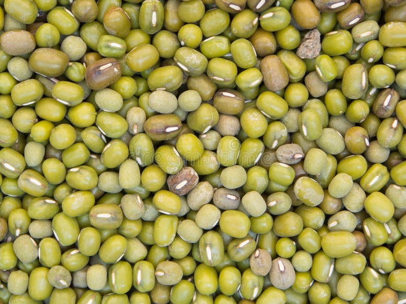 Green pea stock photo. Image of agriculture, numerous - 28324558