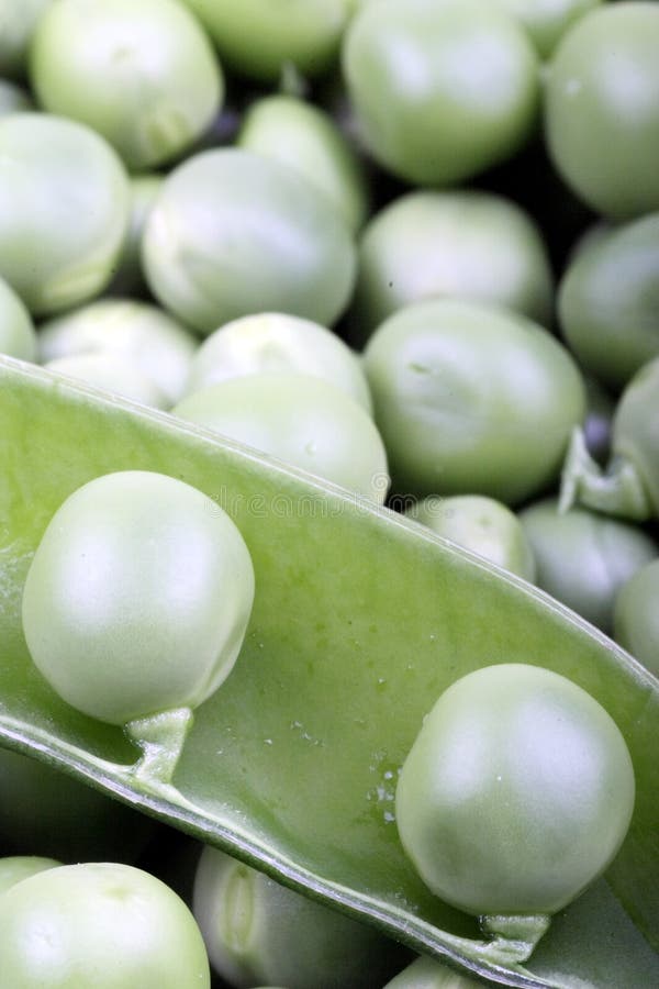Green pea stock photo. Image of greengrocery, diet, isolated - 8313900
