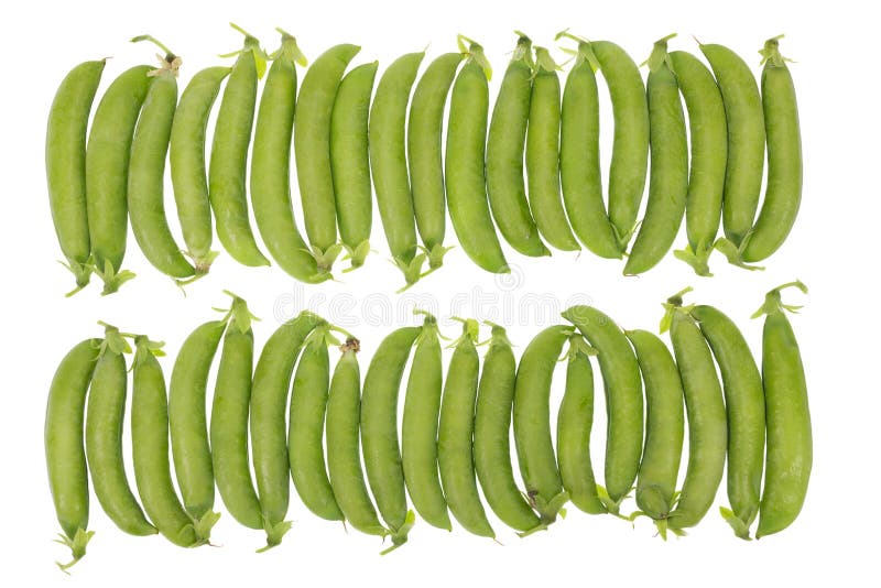 Green pea border isolated stock photo. Image of border - 25923976