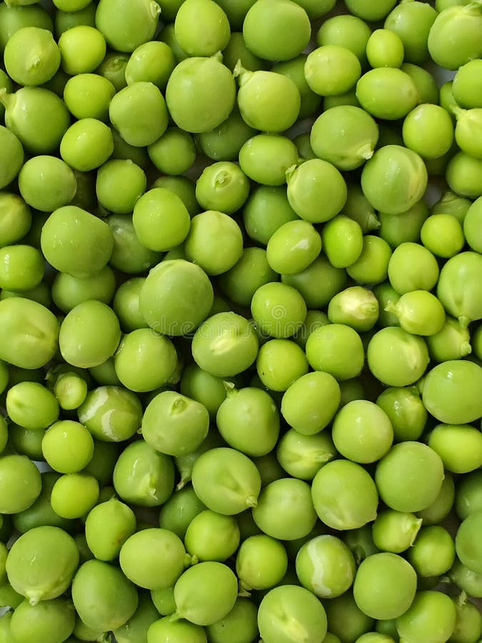 Green pea grains stock image. Image of bowl, ripe, open - 94453129