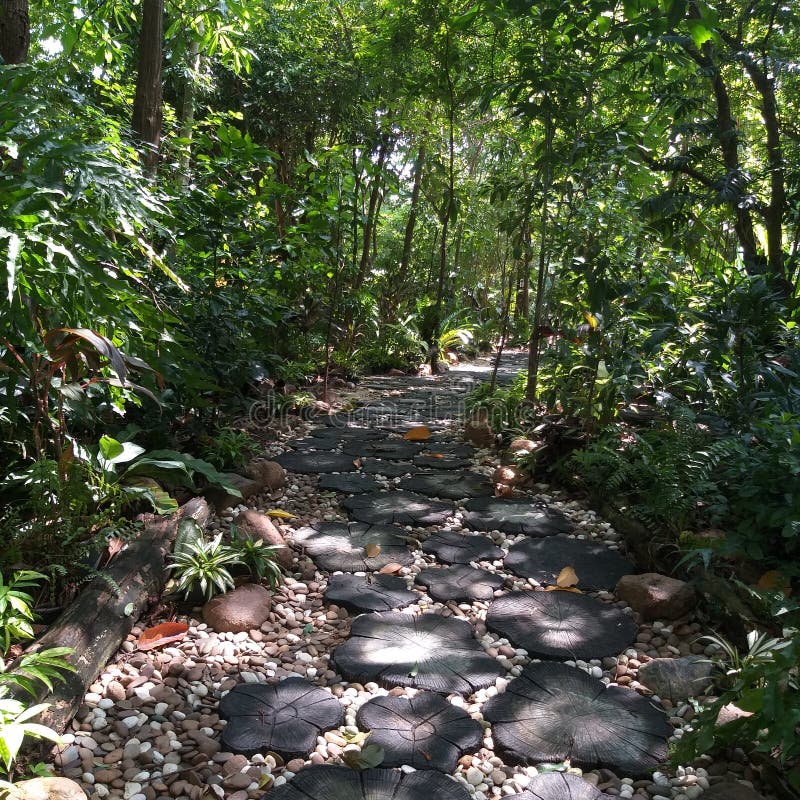Green Peace stock photo. Image of peace, forest, stone - 160545880