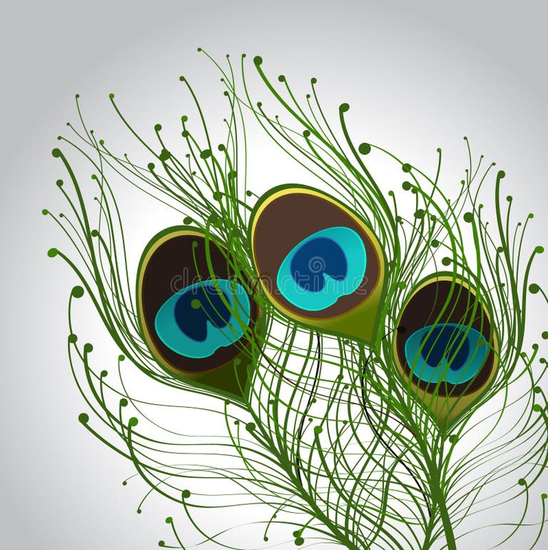 Peacock Color Gradient Stock Illustrations – 1,098 Peacock Color ...