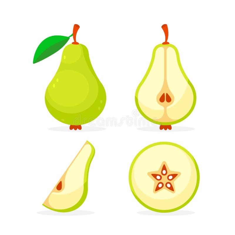 Green Pear Set. Sliced Pears Collection Stock Vector - Illustration of ...