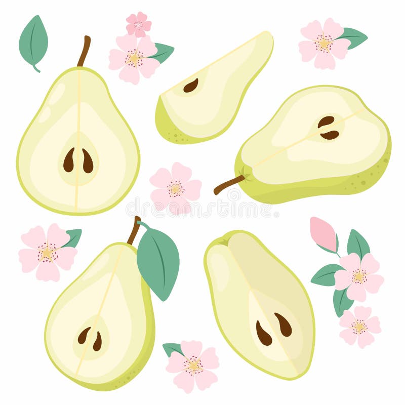 Set of Illustrations of a Cut Pear in a Flat Style. Fresh Green Pear in ...