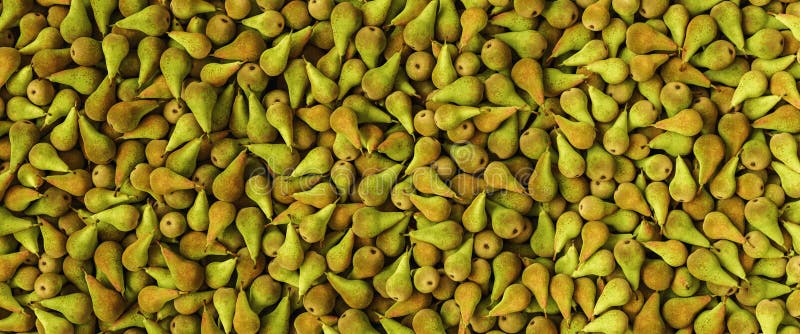 Green Pears As a Background, Banner Size Stock Image - Image of ...