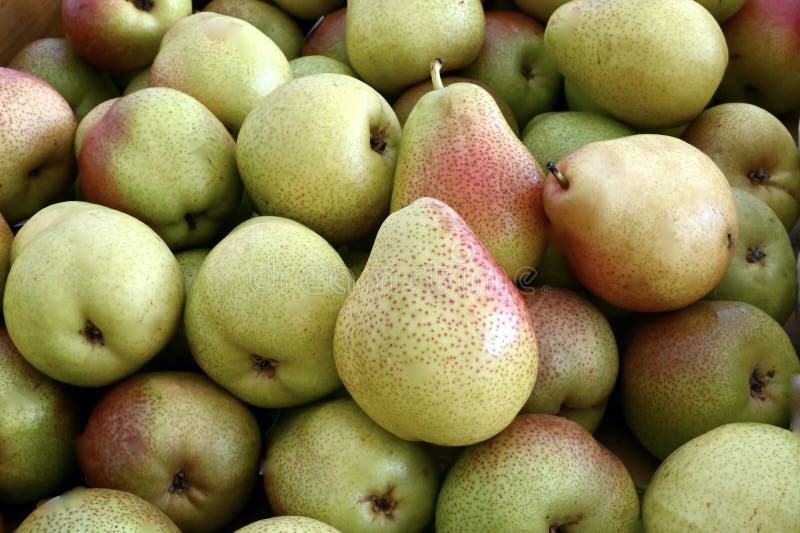 Ripe Spotted Pears stock image. Image of blushing, green - 222215597