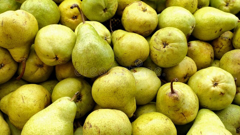 Green Pears stock image. Image of abstract, eating, horizontal - 339437247