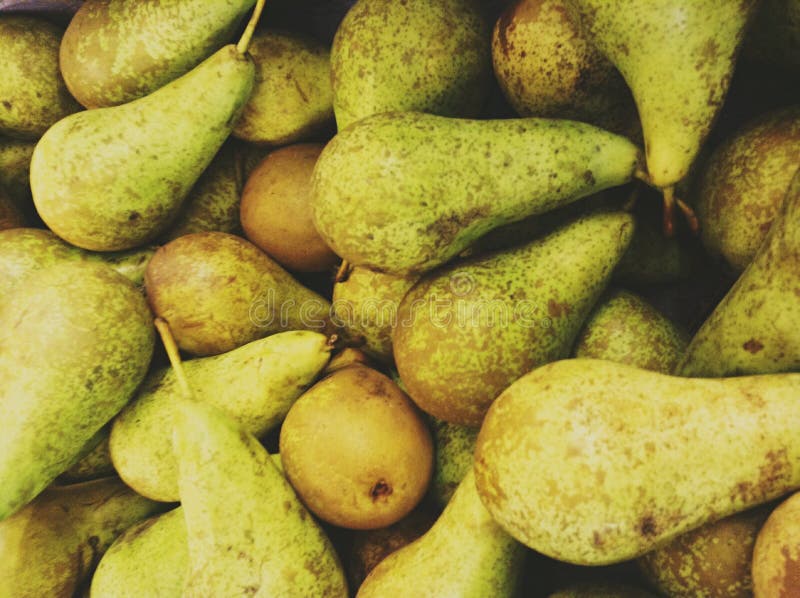 Green pears stock image. Image of pears, fruit, harvest - 64127077
