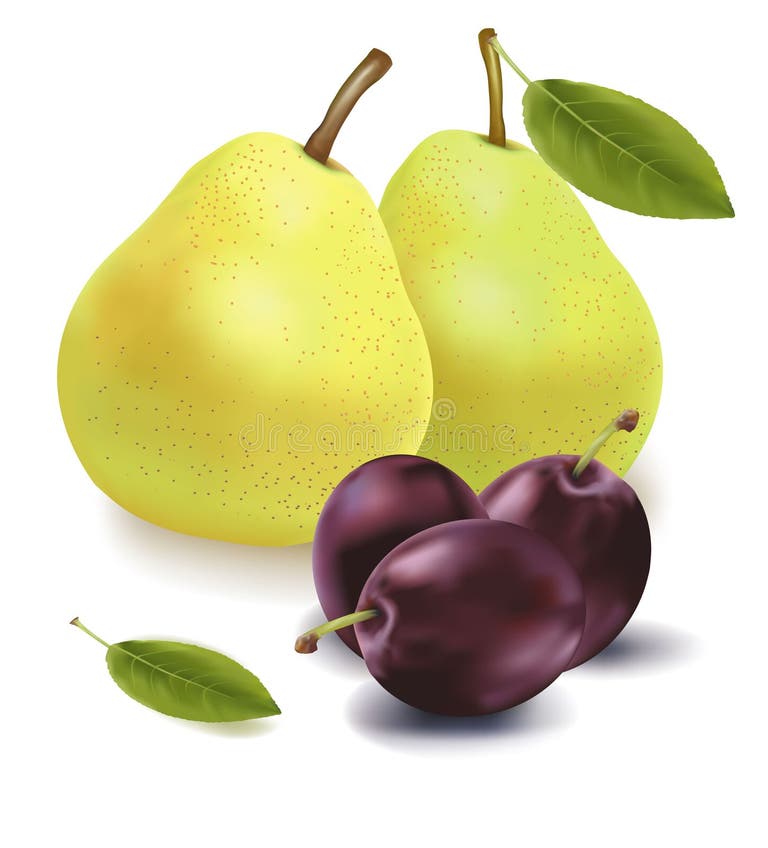 Three Plums Stock Illustrations – 127 Three Plums Stock Illustrations ...