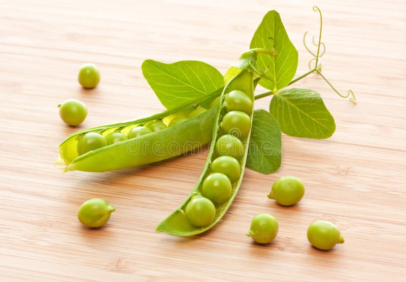 Pea Pod stock image. Image of sugar, snap, legume, healthy - 5556351