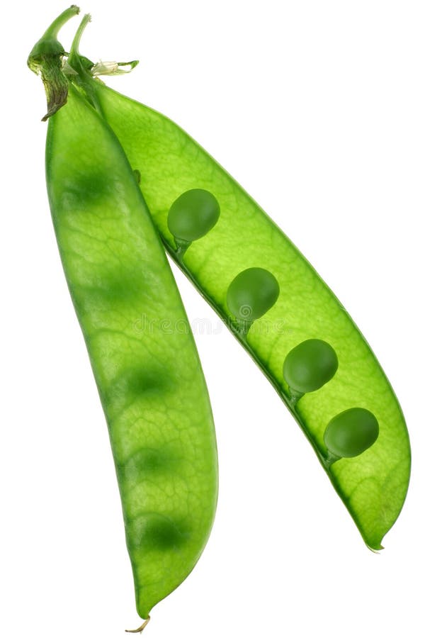 Peas stock photo. Image of close, farm, green, food, fresh - 324450