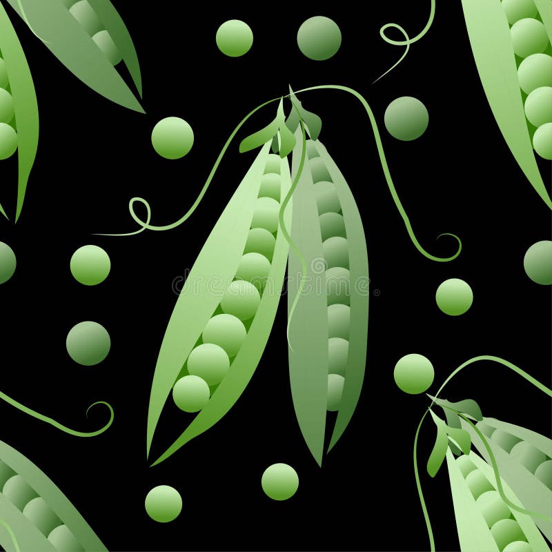 Green Peas in Modern Style. Design Template with Green Peas Stock ...