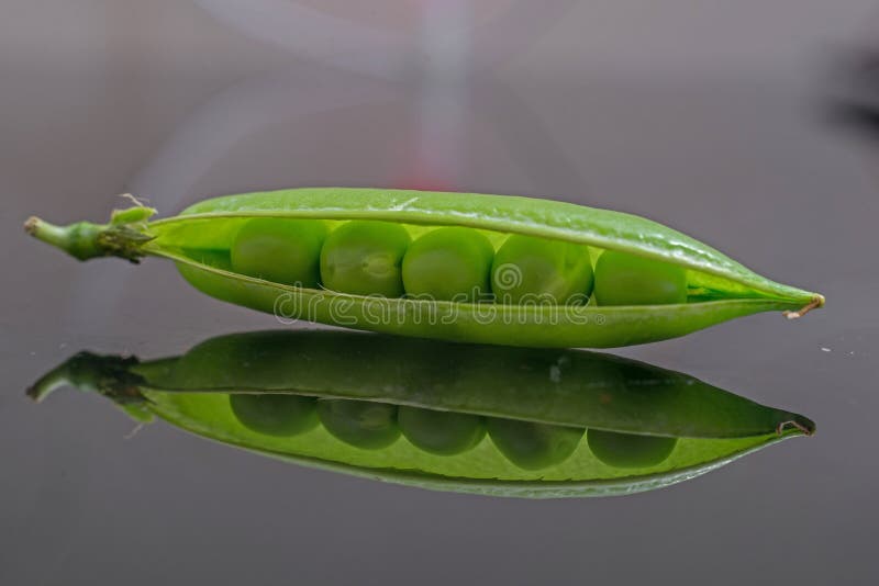Green Peas Pod stock image. Image of food, seed, shell - 101225263