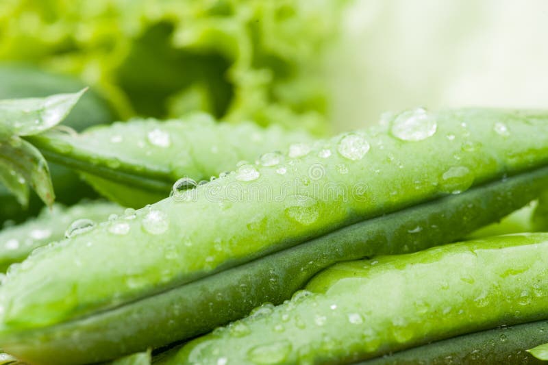 Green Peas Pods with Drops of Water Stock Photo - Image of food, drop ...